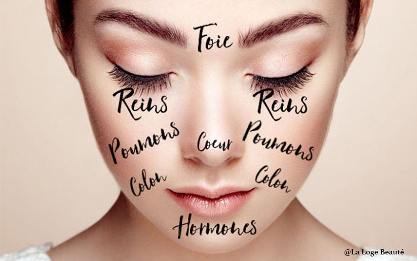 Face Mapping : technique pour analyser ses problèmes cutanés ! - La ...