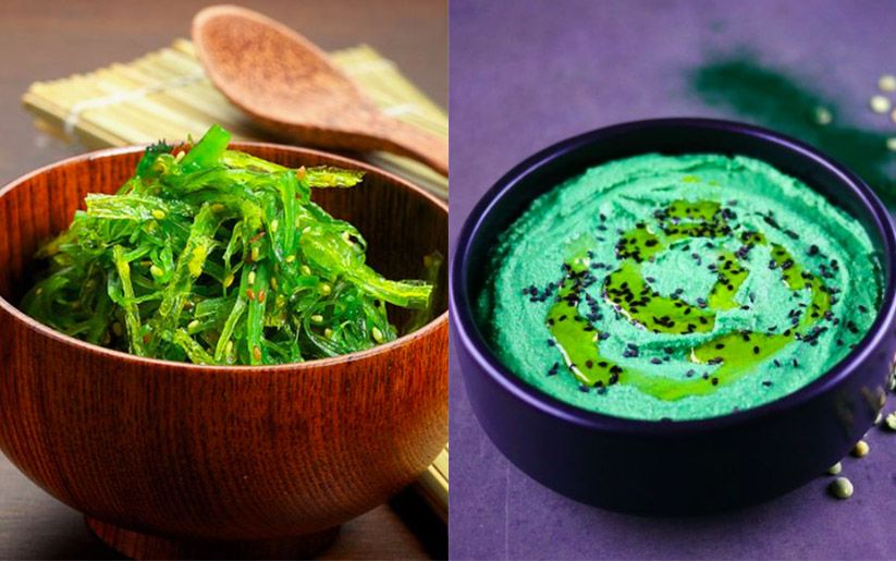 Algues comestibles aux vertus exceptionnelles : TOP 5 ! - La Loge Beauté