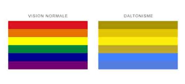 Daltonien : mais que voit-il vraimant ? - La Loge Beauté